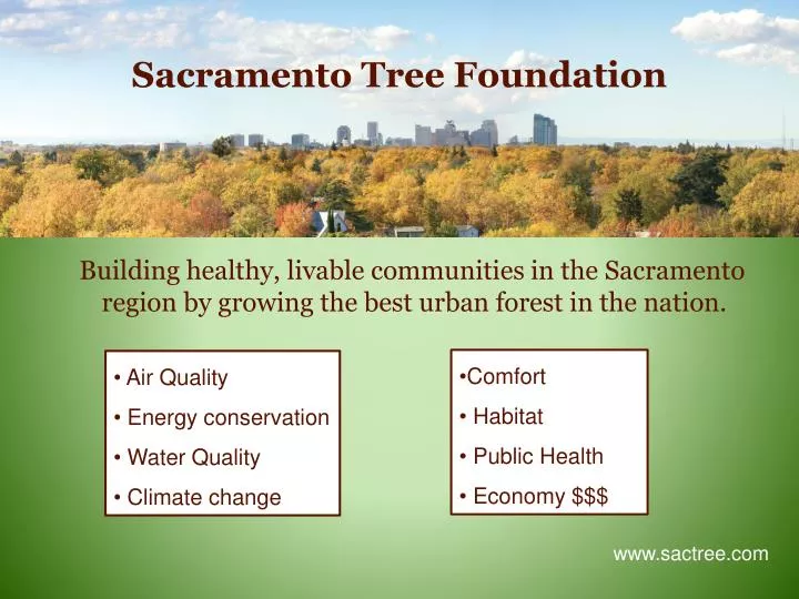PPT - Sacramento Tree Foundation PowerPoint Presentation, free download ...