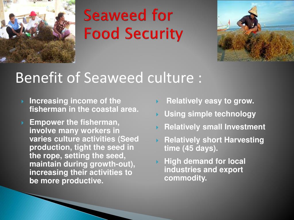 PPT - The Roles of Seaweed on Climate Change, Food Security and Natural ...