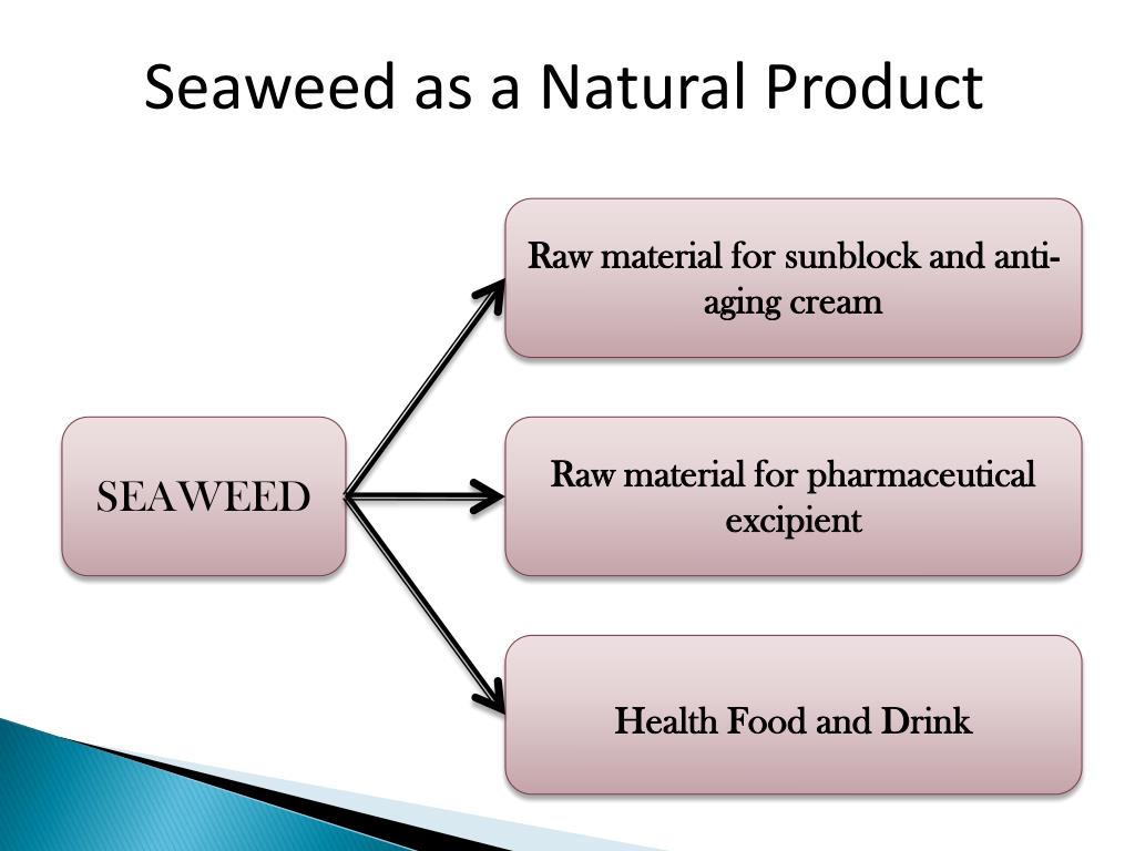 PPT - The Roles of Seaweed on Climate Change, Food Security and Natural ...
