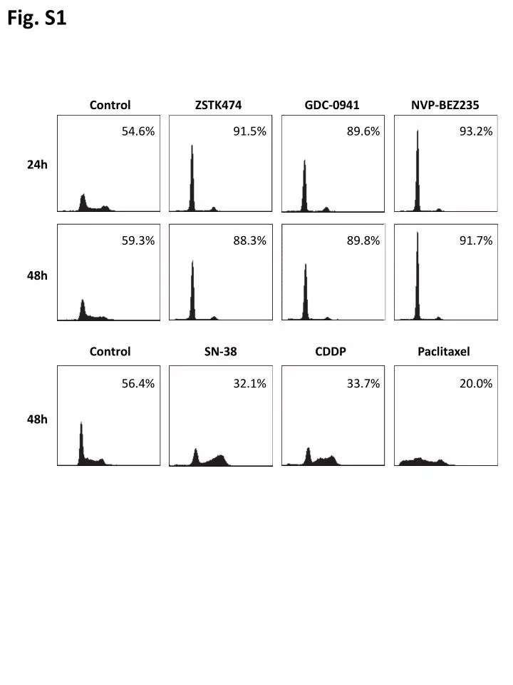 PPT - GDC-0941 PowerPoint Presentation, free download - ID:3974581