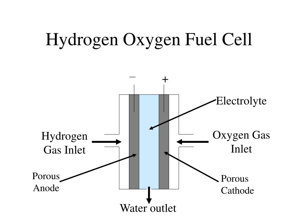 Hydrogen Oxygen Hydrogen Fuel Cell - vrogue.co Hydrogen Oxygen Hydrogen Fuel Cell - vrogue.co