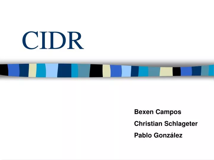 PPT - CIDR PowerPoint Presentation, free download - ID:3975113