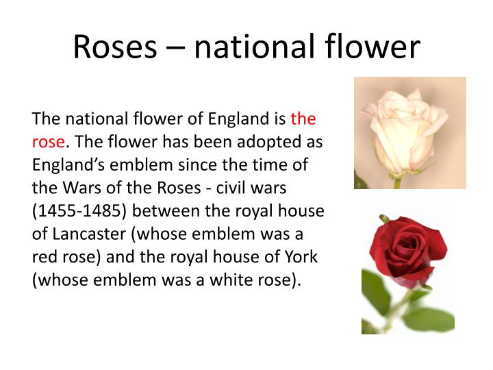 PPT - All About England PowerPoint Presentation - ID:3975281
