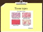 PPT - Tissues and Membranes PowerPoint Presentation - ID:3977908