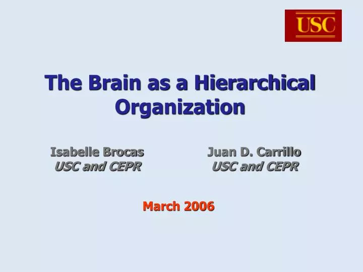 PPT - The Brain as a Hierarchical Organization PowerPoint Presentation ...