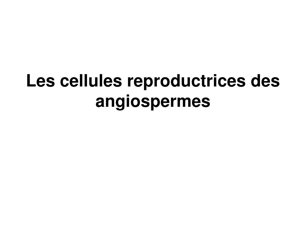 PPT - ActivitÃ© 4 Comment se dÃ©roule la reproduction sexuÃ©e chez les ...