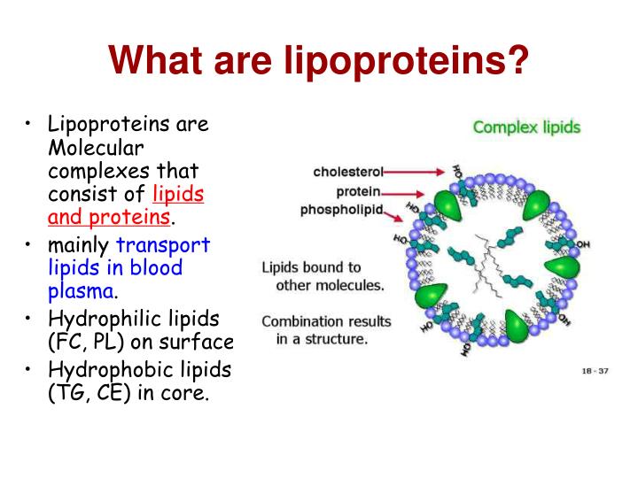 PPT - Determination of the total cholesterol in serum PowerPoint ...