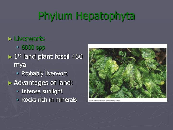 PPT - Biology 1010 Chapter 20 PowerPoint Presentation - ID:3983345