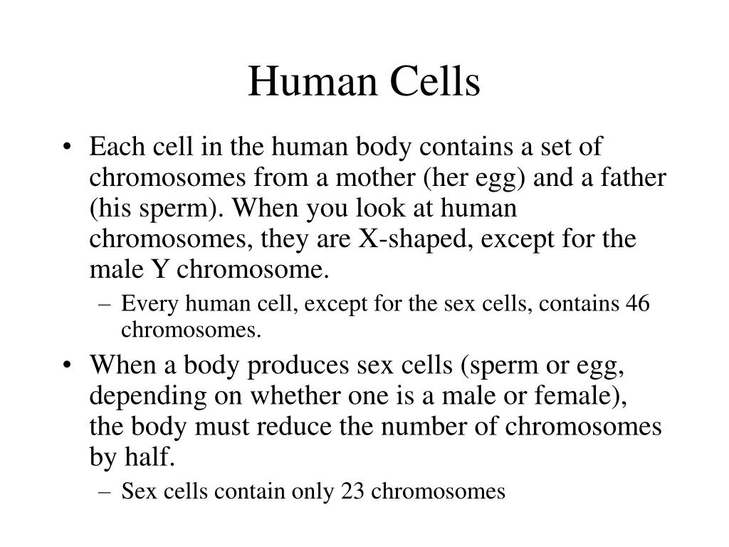 Ppt Sex Cells The Biology Of Sex Powerpoint Presentation Free