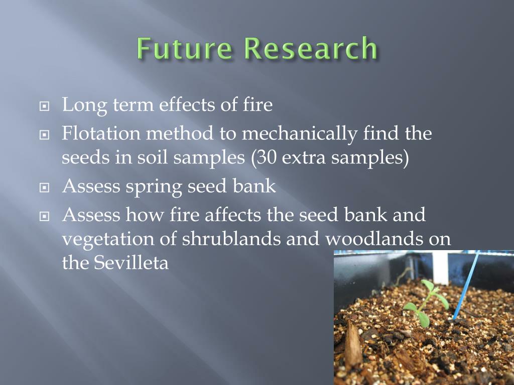 PPT - Seasonal Fire Effects on Seed Banks in Semi-arid Grasslands ...