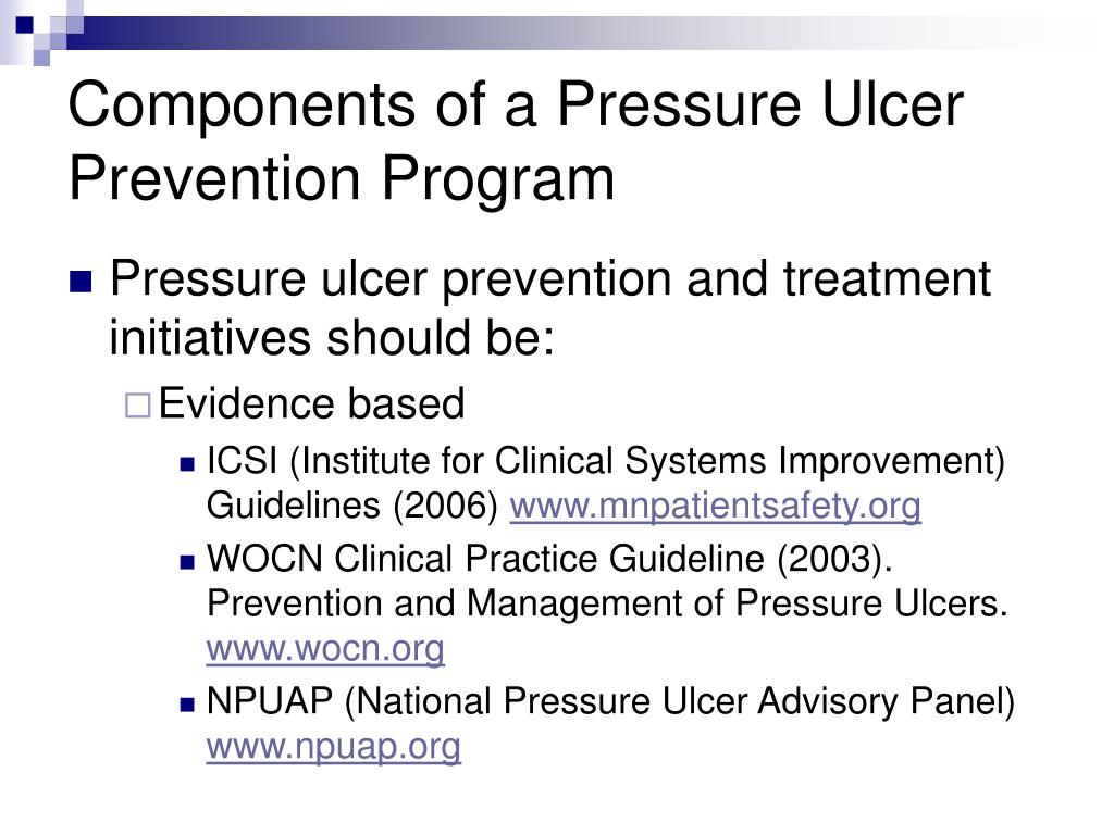 PPT - Pressure Ulcer Prevention at North Memorial PowerPoint ...