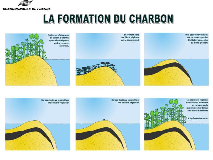 PPT - Le charbon : une Ã©nergie primaire fondamentale PowerPoint ...
