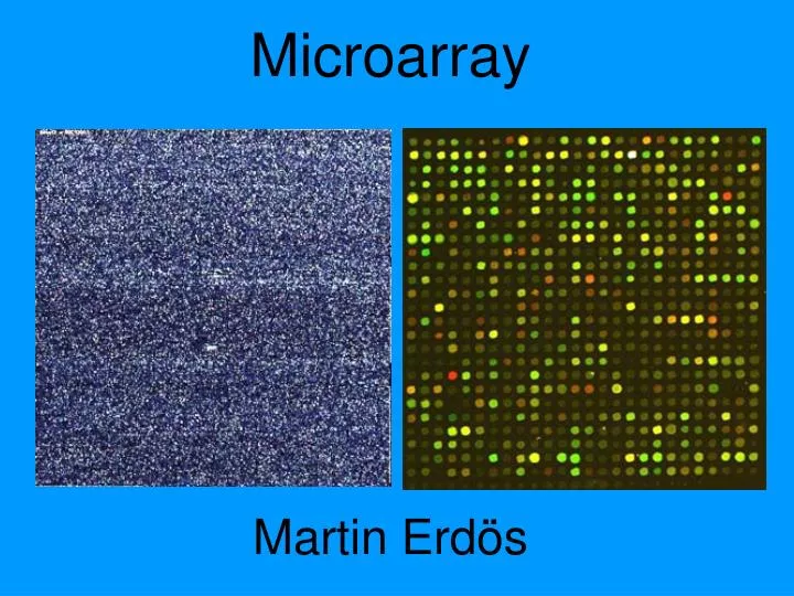 PPT - Microarray PowerPoint Presentation, free download - ID:3987668