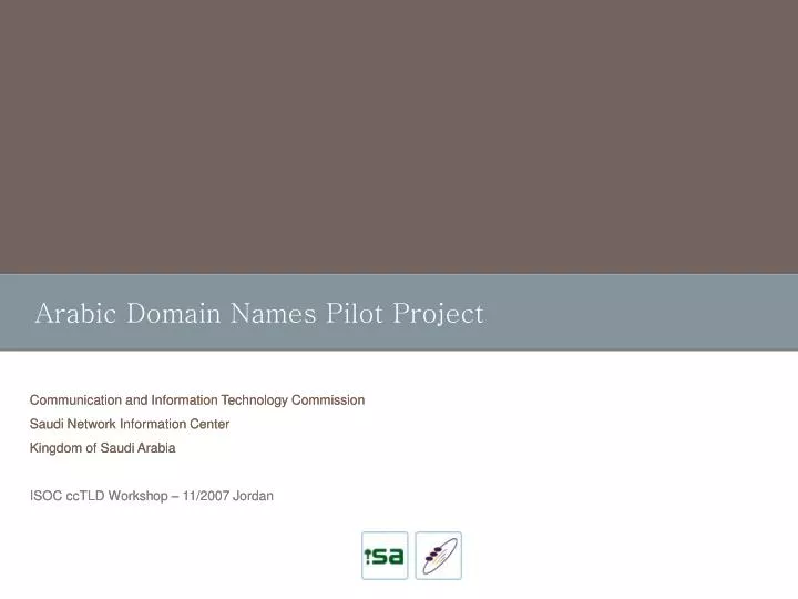 PPT - Arabic Domain Names Pilot Project PowerPoint Presentation, free ...