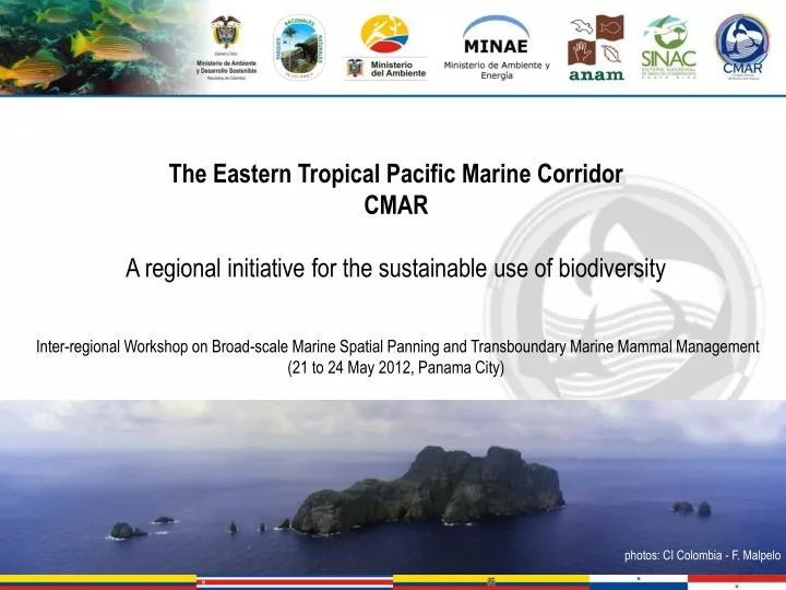 PPT - The Eastern Tropical Pacific Marine Corridor CMAR PowerPoint ...