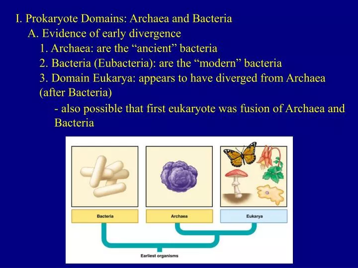 PPT - I. Prokaryote Domains: Archaea and Bacteria PowerPoint ...