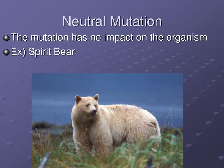 PPT - Mutations PowerPoint Presentation - ID:3990738