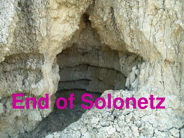 PPT - Solonetz (SN) (from R. sol, salt, and etz, strongly expressed ...