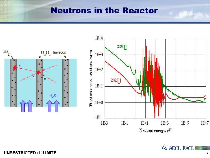 PPT - Thermal Neutron Scattering Cross Section Measurements of Heavy ...