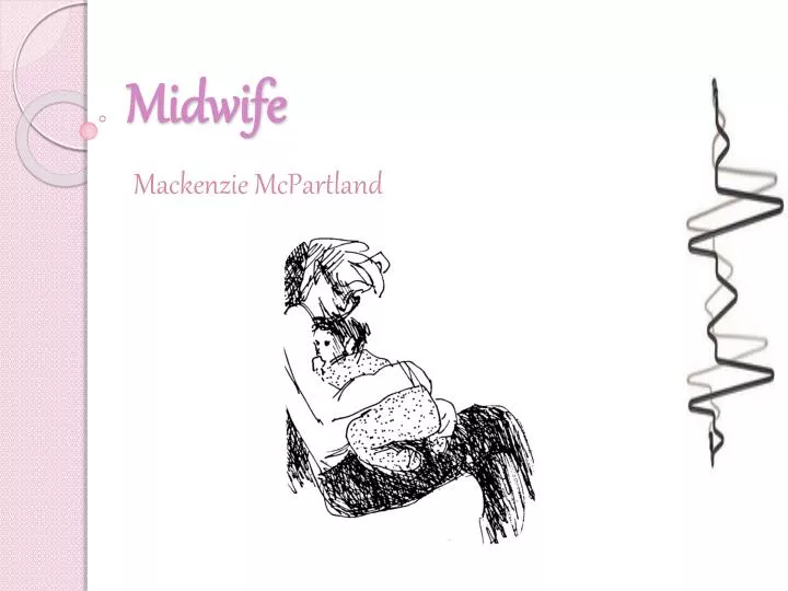 PPT - Midwife PowerPoint Presentation, free download - ID:3993316