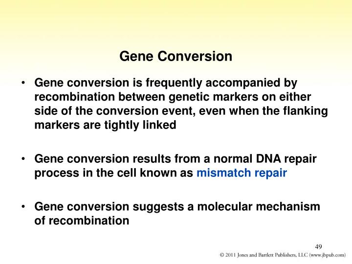 PPT - Chapter 4 Gene Linkage and Genetic Mapping PowerPoint ...
