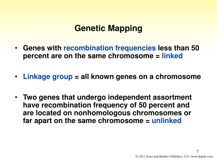 Ppt Genetic Linkage And Chromosome Mapping Powerpoint Presentation 55d
