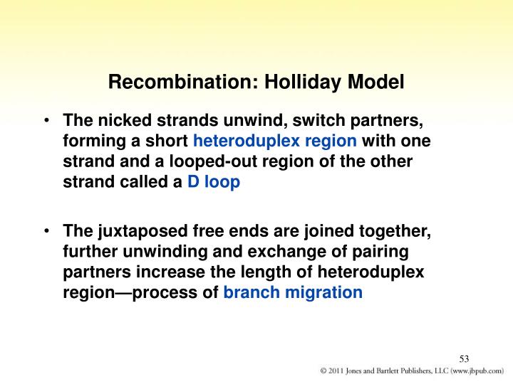 PPT - Chapter 4 Gene Linkage and Genetic Mapping PowerPoint ...