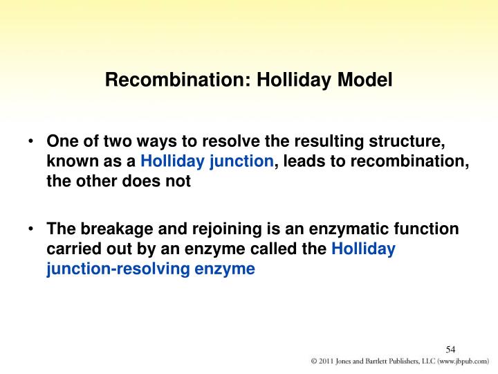 PPT - Chapter 4 Gene Linkage and Genetic Mapping PowerPoint ...