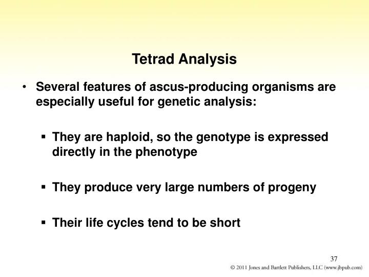 PPT - Chapter 4 Gene Linkage and Genetic Mapping PowerPoint ...