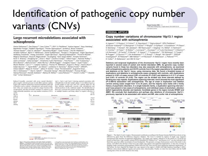 PPT - Copy Number Variation in neurodevelopmental disorders: PowerPoint Presentation - ID:3994539