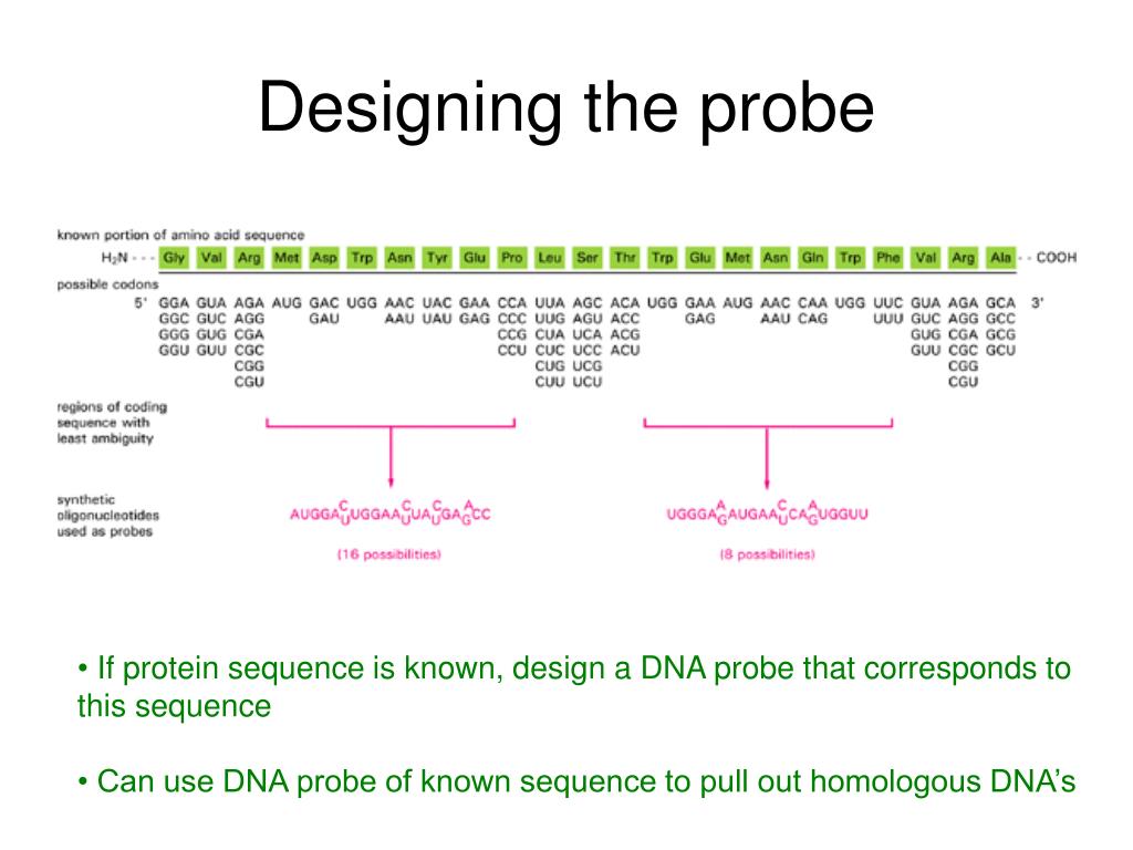 PPT - Outline PowerPoint Presentation, free download - ID:3996596