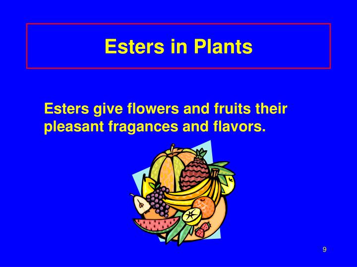PPT - Carboxylic Acids, Esters, Amines and Amides PowerPoint ...