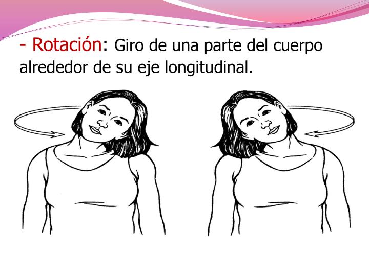 PPT - Sistema articular PowerPoint Presentation - ID:3998041