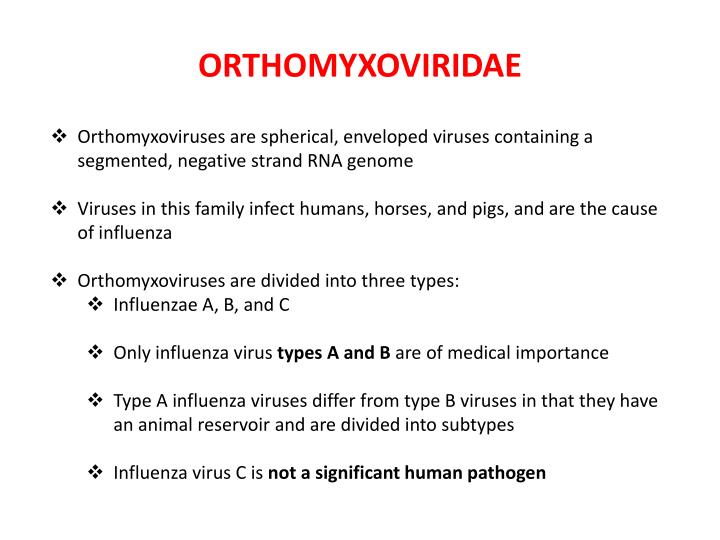 PPT - Viral Infections of the Respiratory System PowerPoint ...