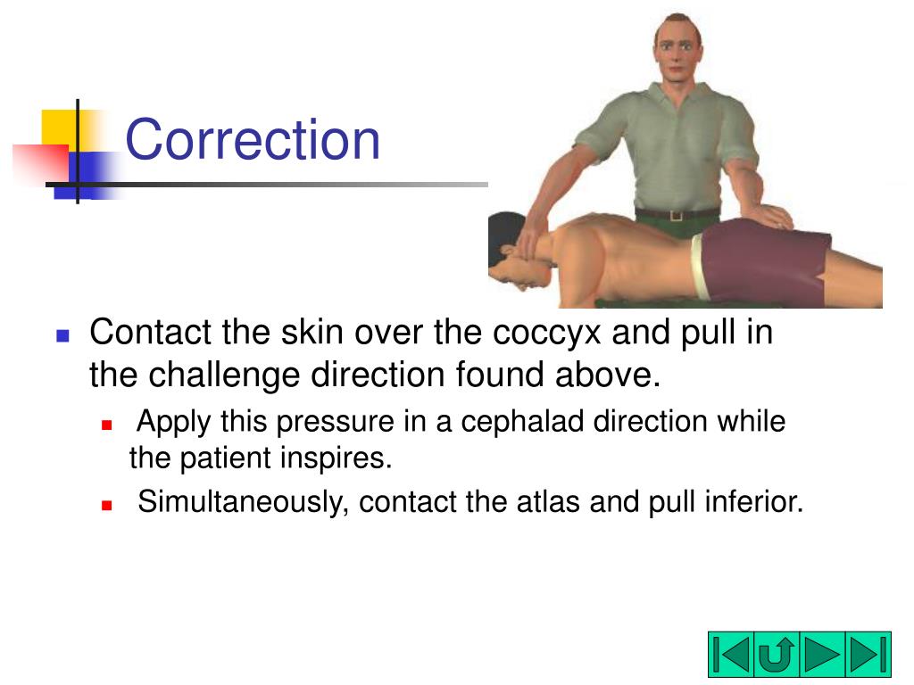 PPT - Meningeal Release - Coccyx PowerPoint Presentation, free download ...