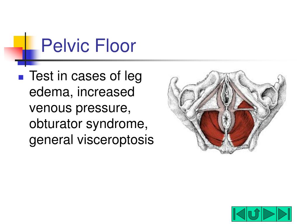 PPT - Meningeal Release - Coccyx PowerPoint Presentation, free download ...