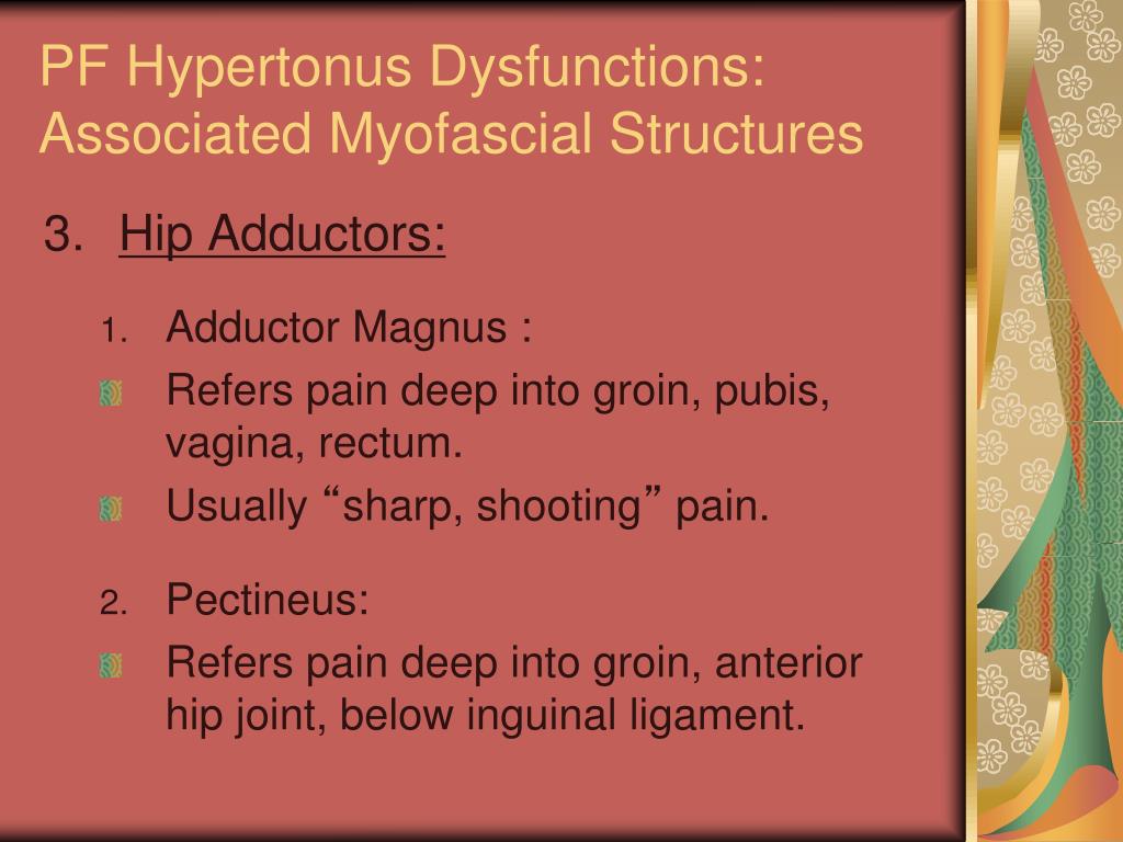 PPT - The Link Between Pelvic Floor Dysfunction and Pelvic Girdle Pain ...