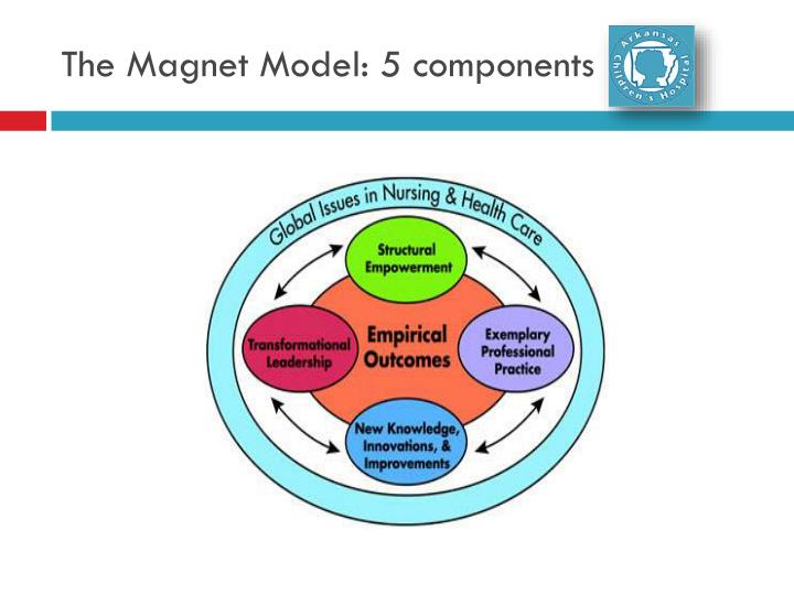 PPT - The Impact of a Professional Nursing Practice Environment in the ...
