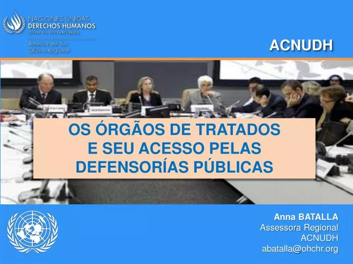 PPT - ACNUDH PowerPoint Presentation, free download - ID:4002165