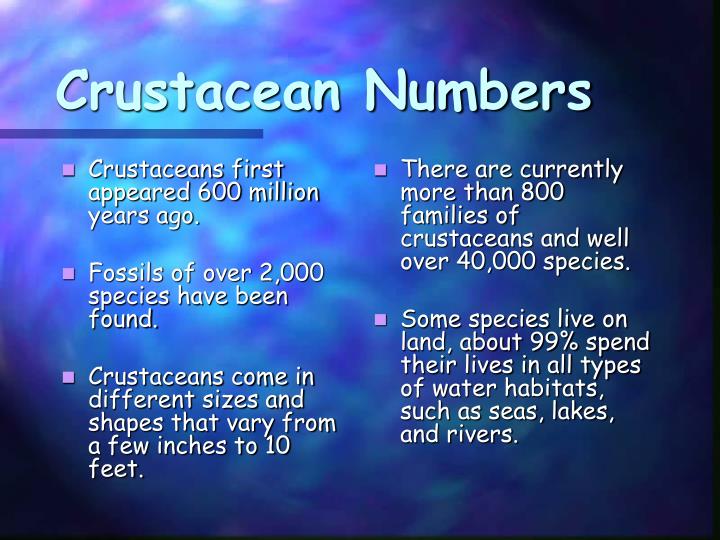 PPT - CRUSTACEANS PowerPoint Presentation - ID:4003588