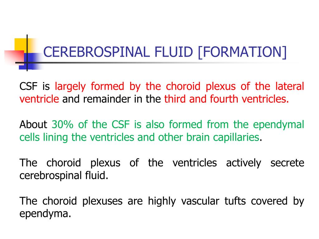 Ppt Cerebral Circulation And Cerebrospinal Fluid Csf Powerpoint