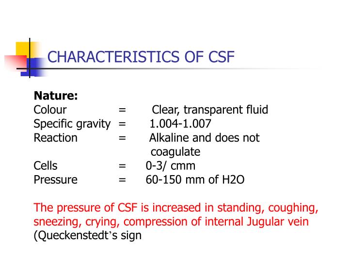 PPT - CEREBRAL CIRCULATION AND CEREBROSPINAL FLUID [CSF] PowerPoint ...