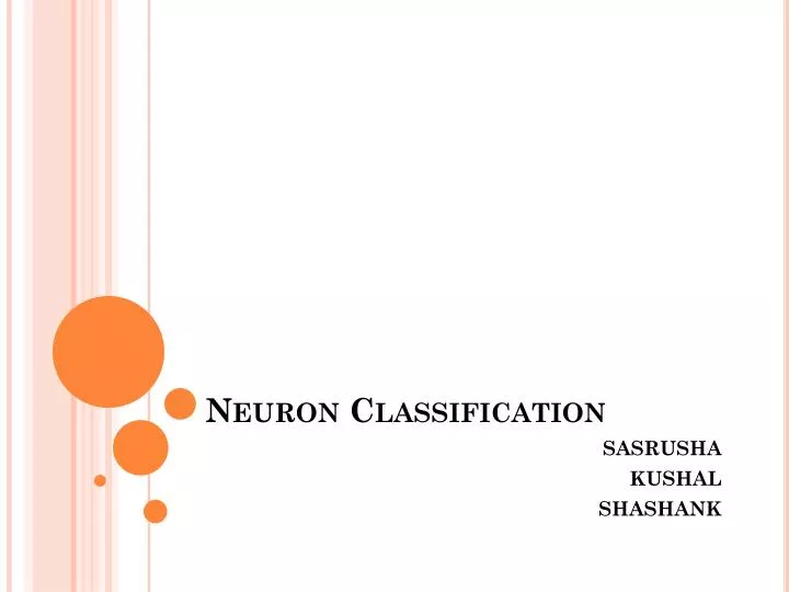 PPT - Neuron Classification PowerPoint Presentation, free download - ID ...