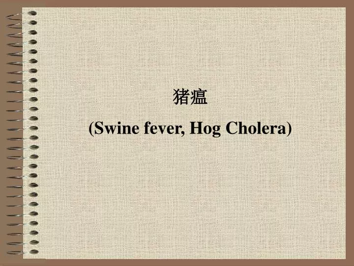 PPT - 猪瘟 ( Swine fever, Hog Cholera) PowerPoint Presentation, free download - ID:4005783