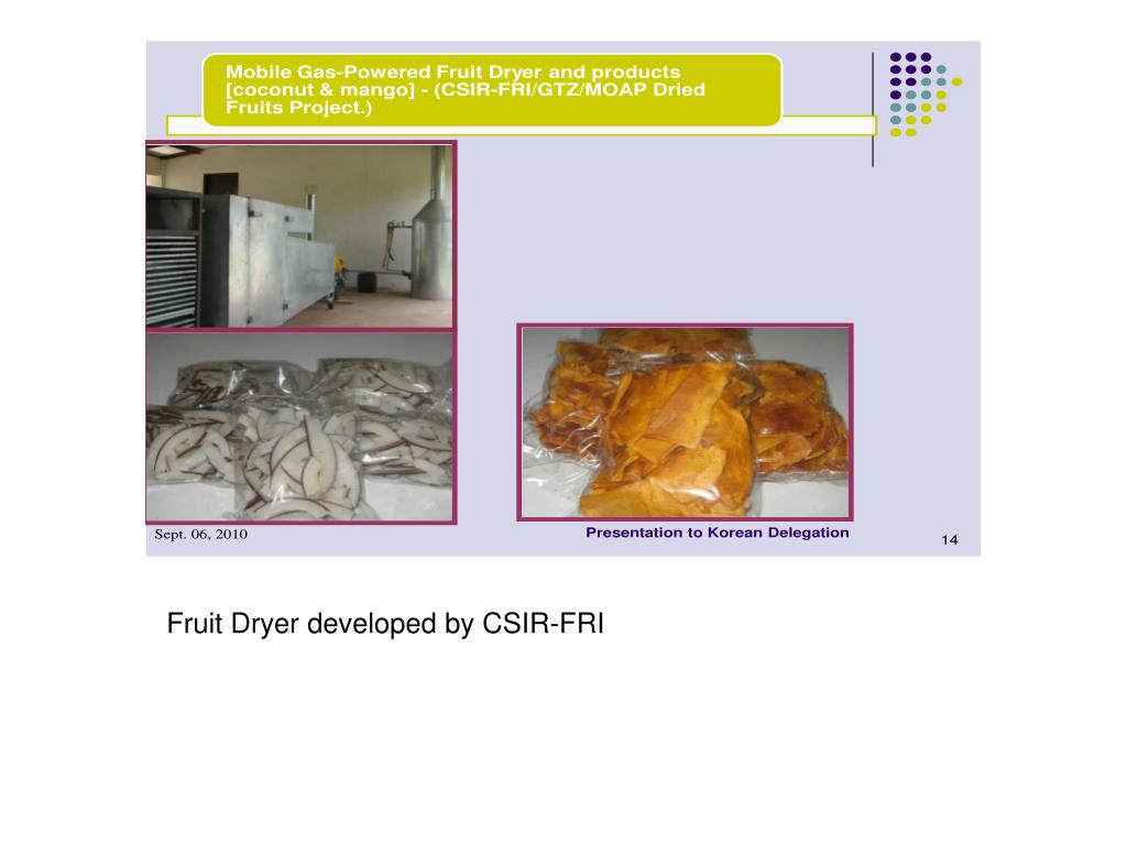 PPT - High Quality Cassava Flour application in the Plywood Industry By ...
