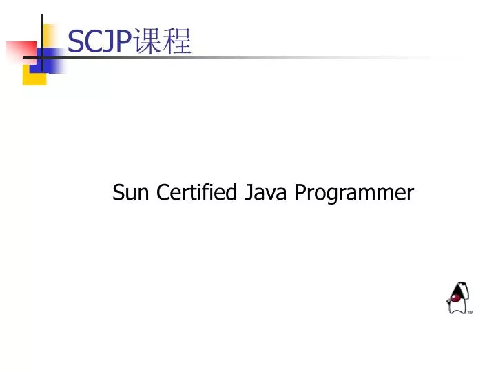 PPT - SCJP 课程 PowerPoint Presentation, free download - ID:4007740