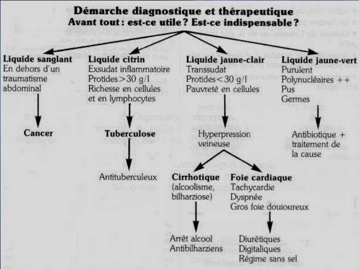 PPT - L’Ascite PowerPoint Presentation - ID:4011803