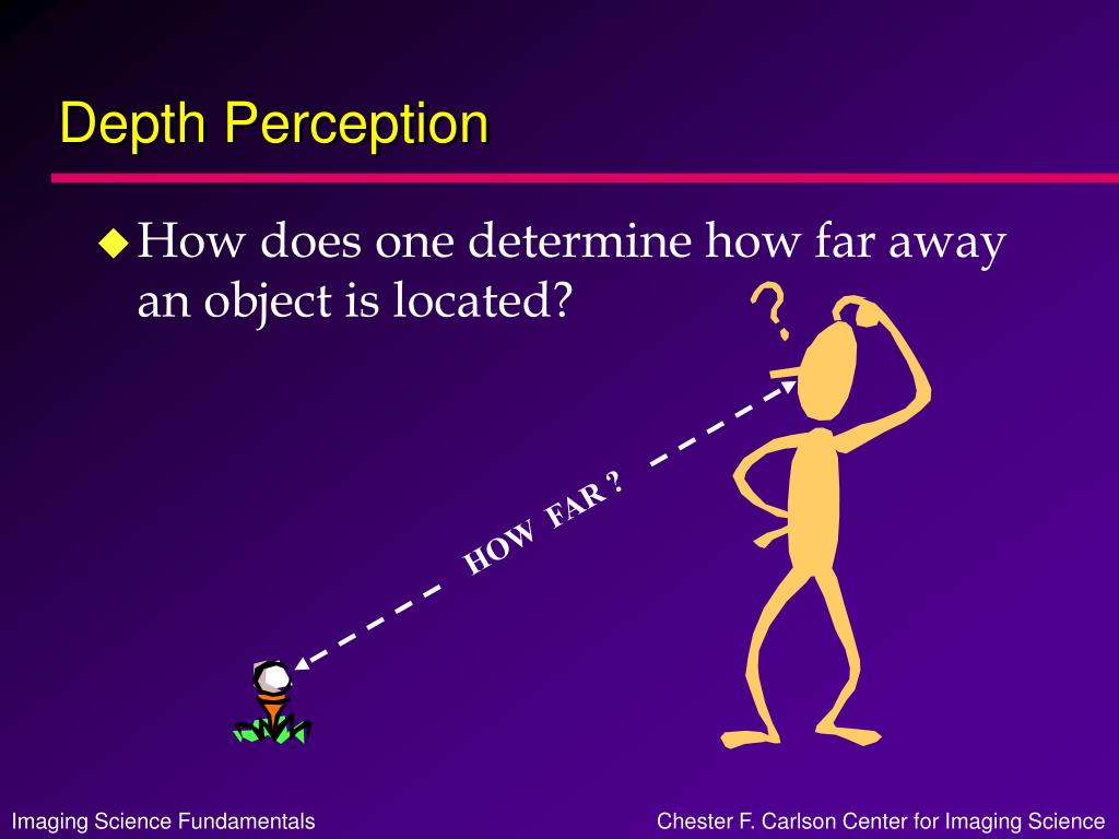 PPT Binocular Vision And The Perception Of Depth PowerPoint PPT Binocular Vision And The Perception Of Depth PowerPoint