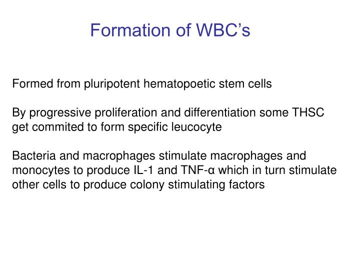 PPT - White Blood cells PowerPoint Presentation - ID:4012220