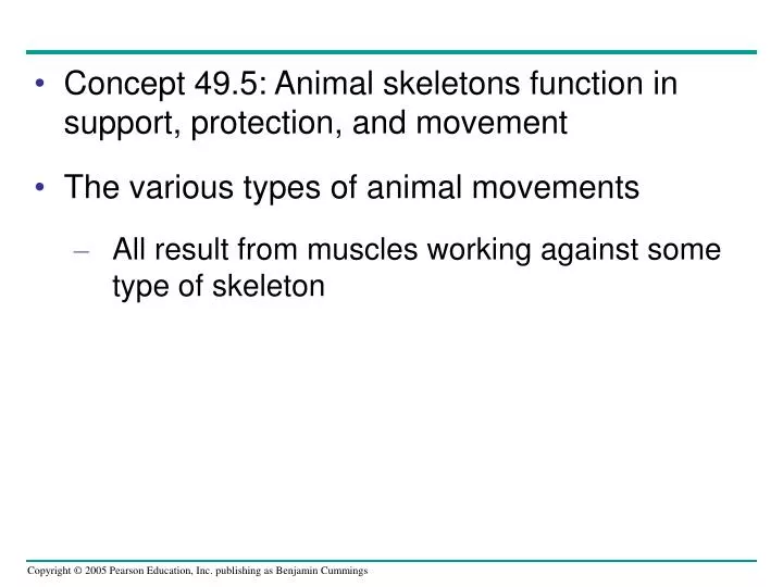 PPT - Concept 49.5: Animal skeletons function in support, protection ...
